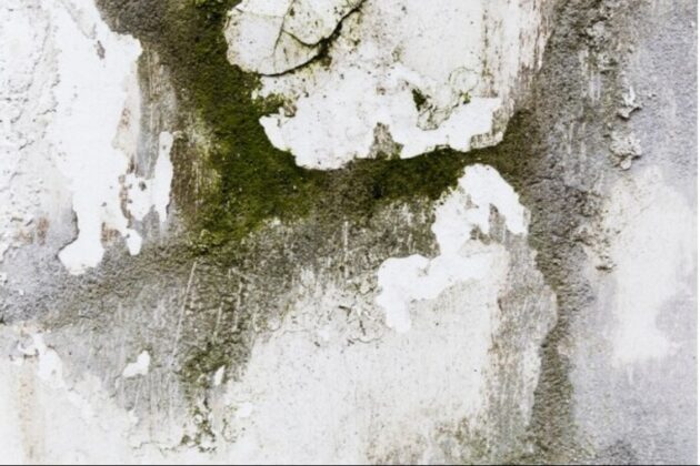My House Wall Is Wet - What Are It's Reasons? - Home Creatives